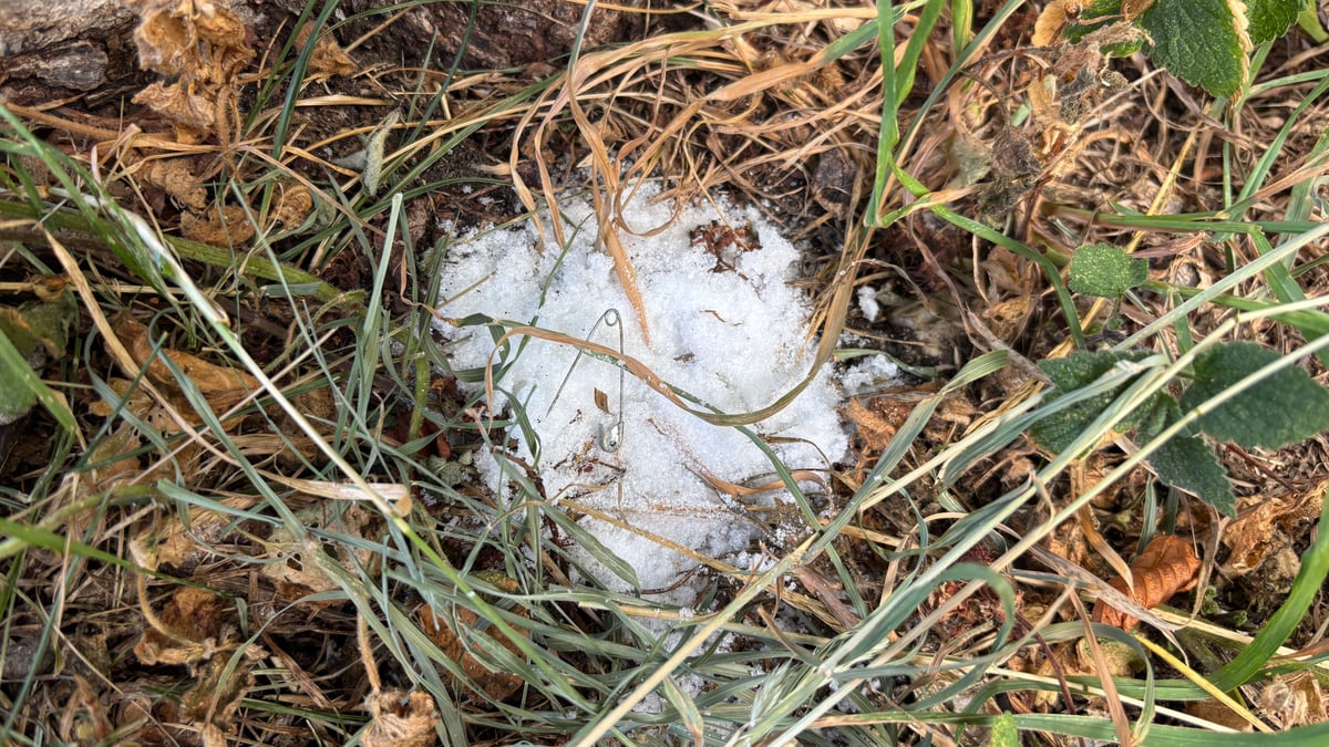 Camilla araujo cums her pics looked good and the previous