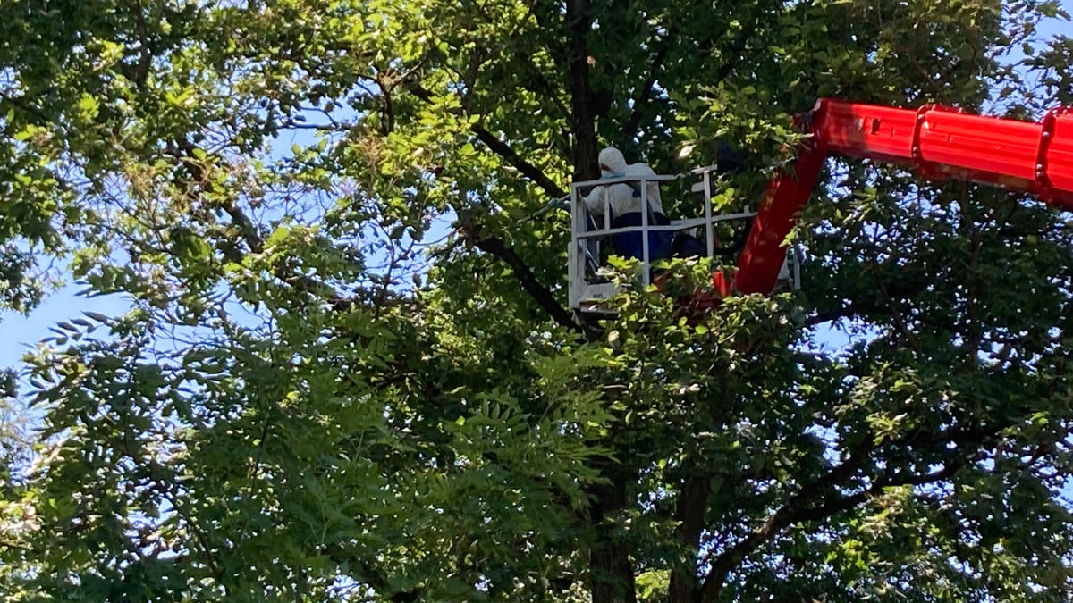 Torrie wilson nudes myself was fascinated upon I saw this