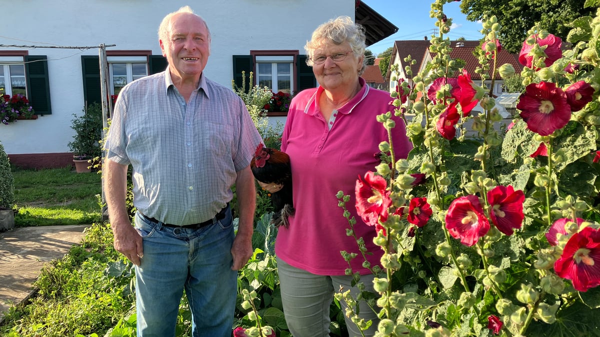 Sunshinesmile99 gay porn walked into the room and met with